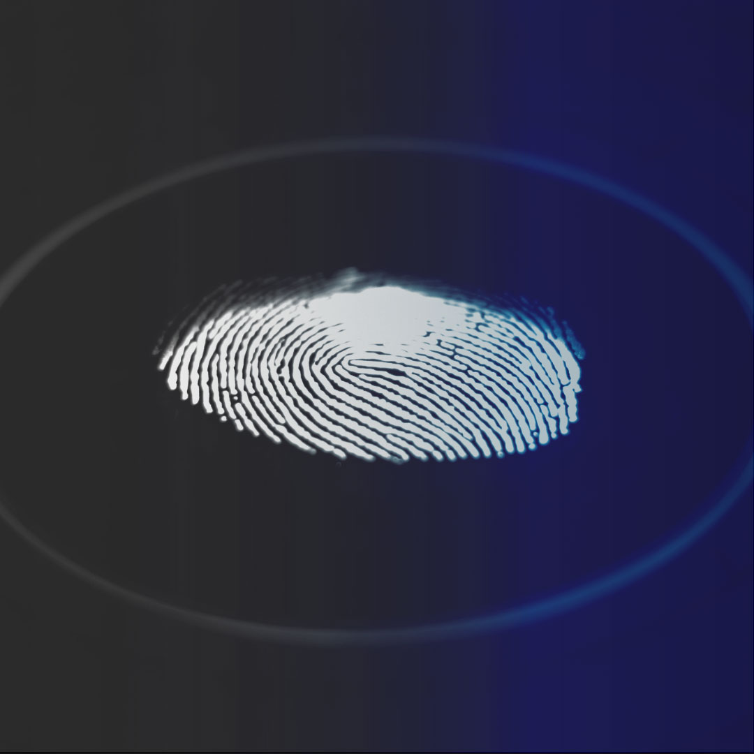 Solutions – Seed Tech